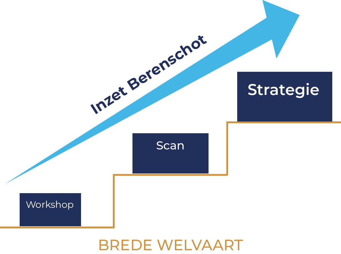 Brede welvaart toepassen in de praktijk | Berenschot d...