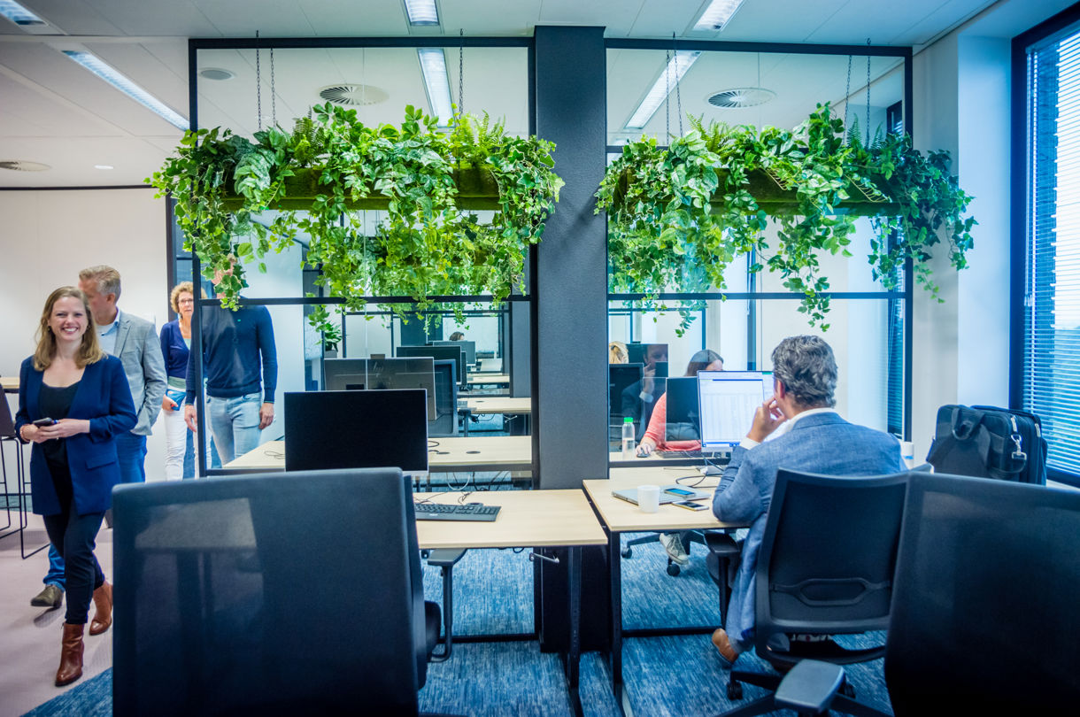 Onze organisatie | Berenschot